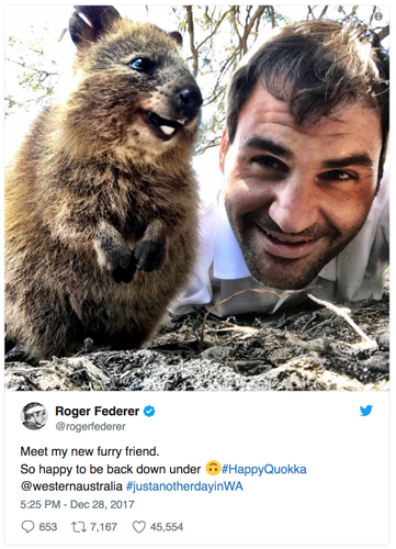 Federer quokka selfie boost WA tourism’s global advantage ...